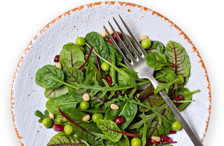 A Cut Above™ | UP Vertical Farms